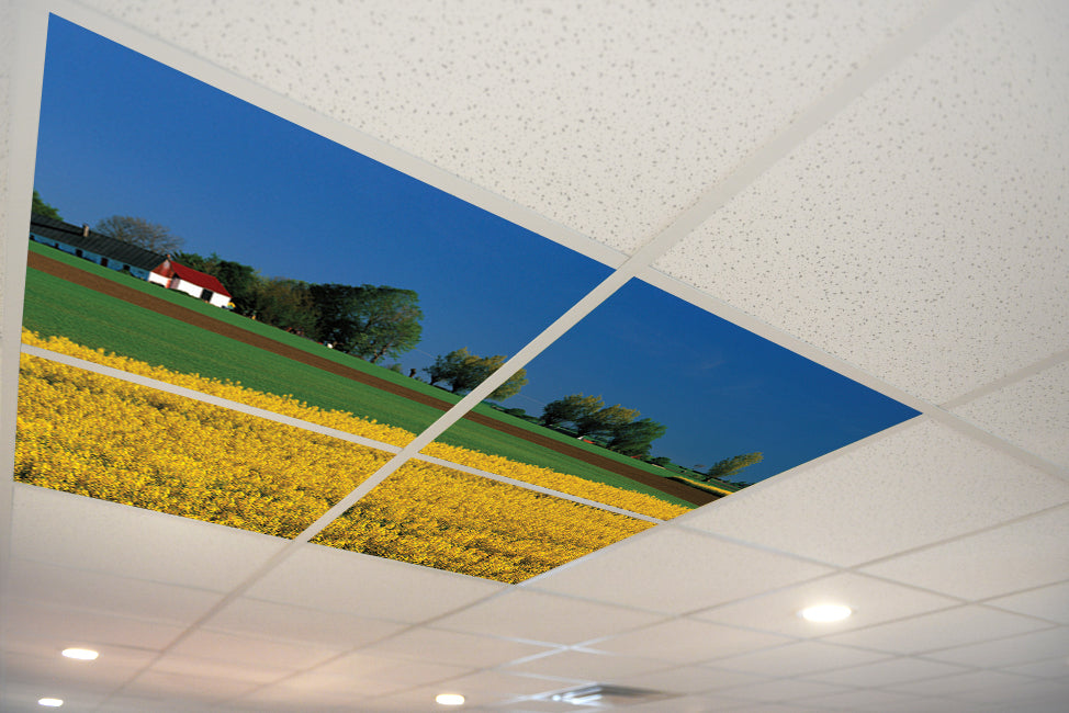 1125 Floral Ceiling Tile – ceilingscenes