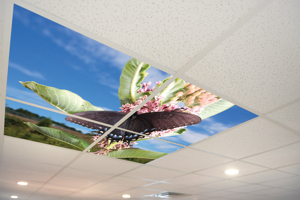 1178 Floral Ceiling Tile – ceilingscenes