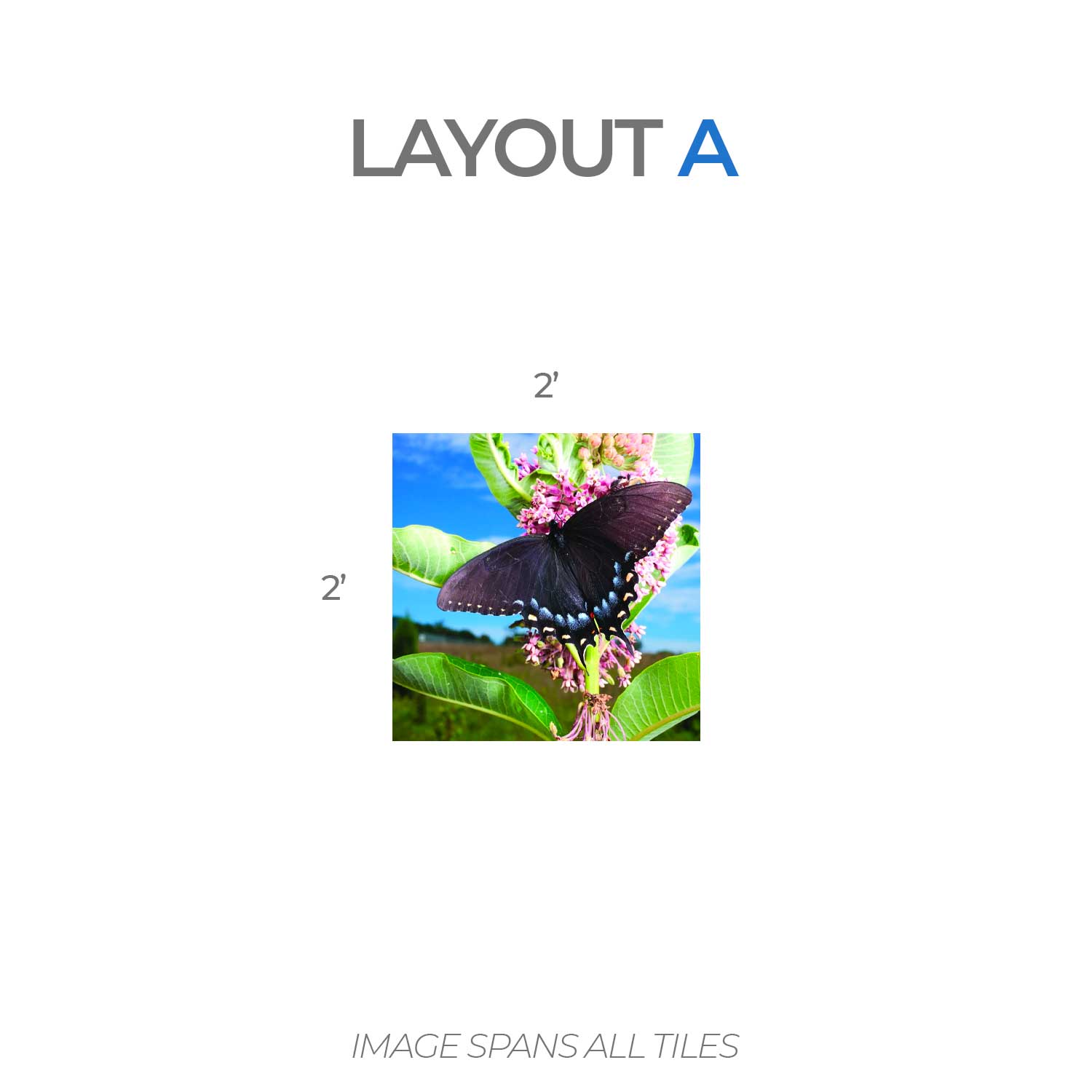 1178 Floral Ceiling Tile – ceilingscenes