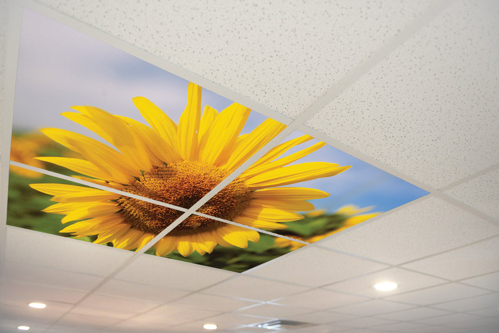 1302 Floral Ceiling Tile – ceilingscenes