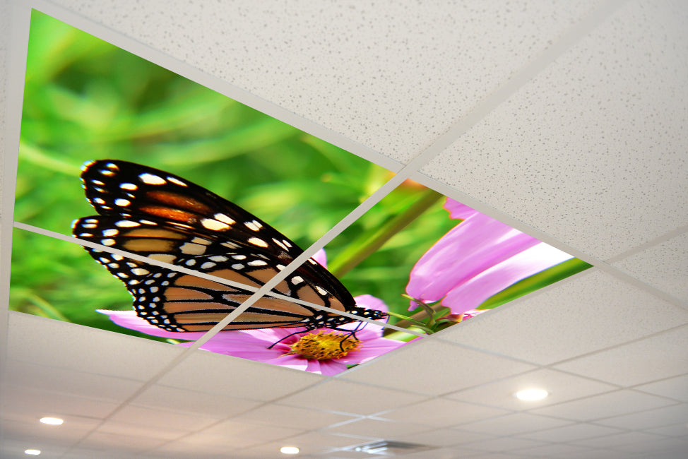 2123 Floral Ceiling Tile – ceilingscenes