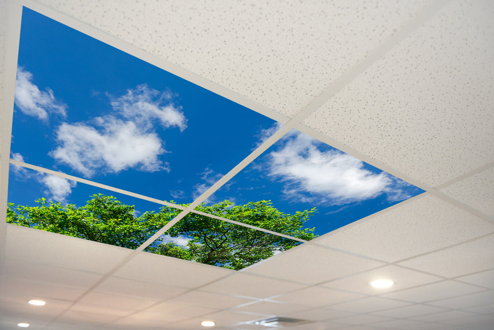 5149 Sky & Trees Ceiling Tile – ceilingscenes