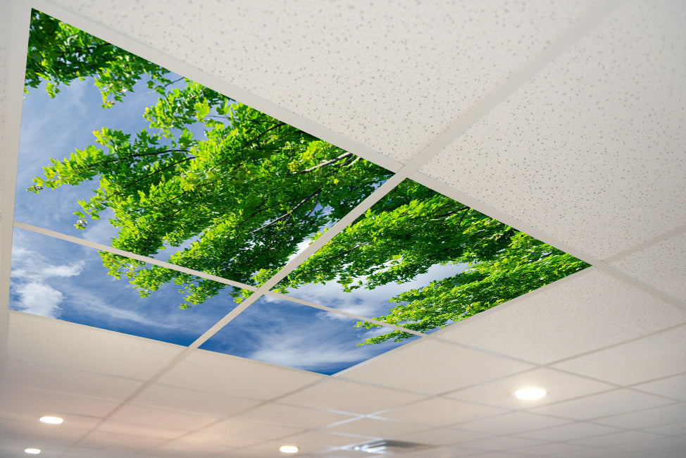 5153 Sky & Trees Ceiling Tile – ceilingscenes