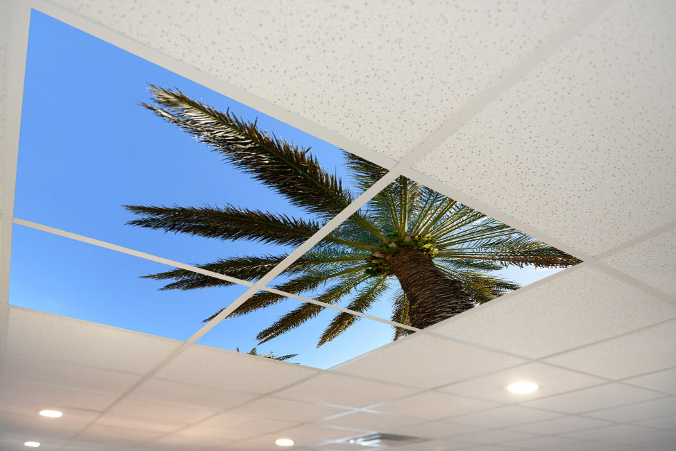 5205 Sky & Trees Ceiling Tile – ceilingscenes