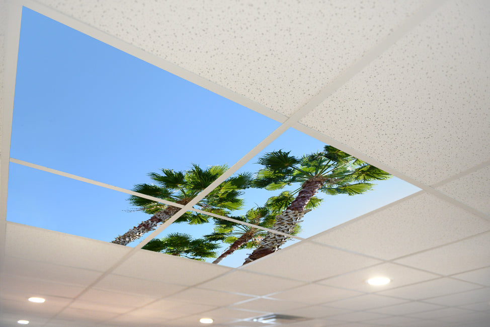 5207 Sky & Trees Ceiling Tile – ceilingscenes