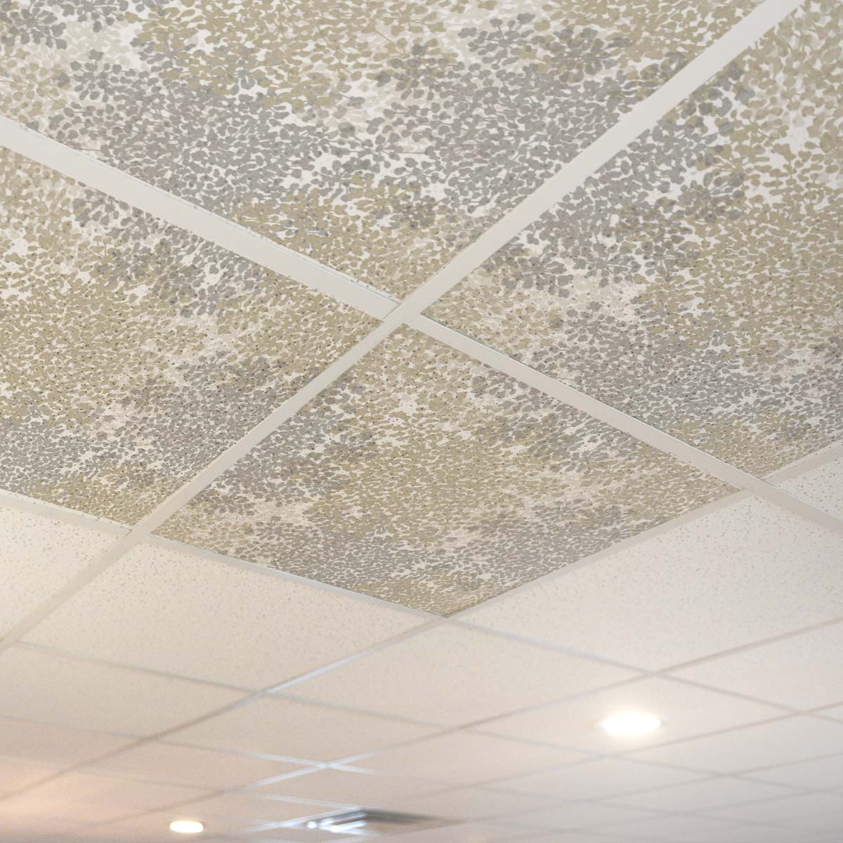 Queen Anne’s Lace Pattern P242 Ceiling Tile – ceilingscenes